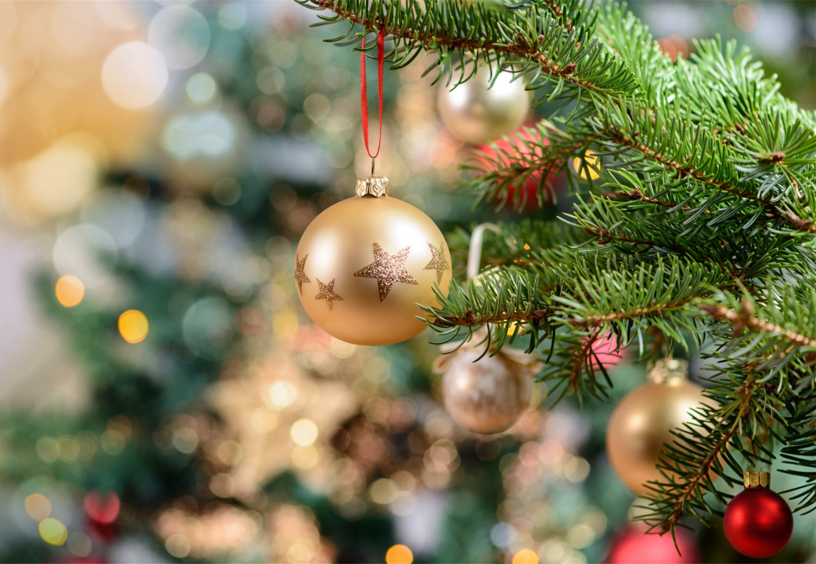 olav b - Risdal Touring