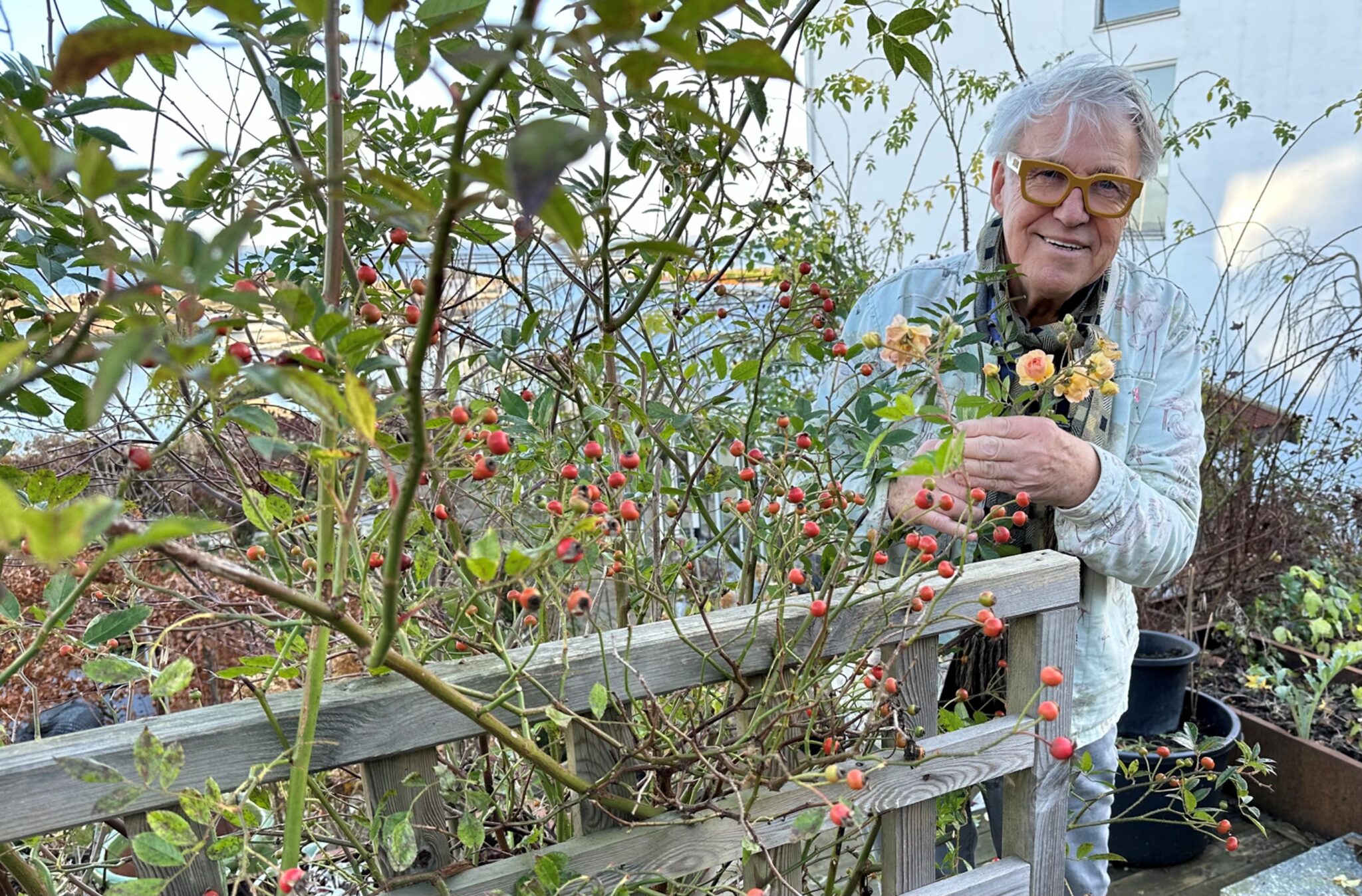 Reisekalender - Risdal Touring