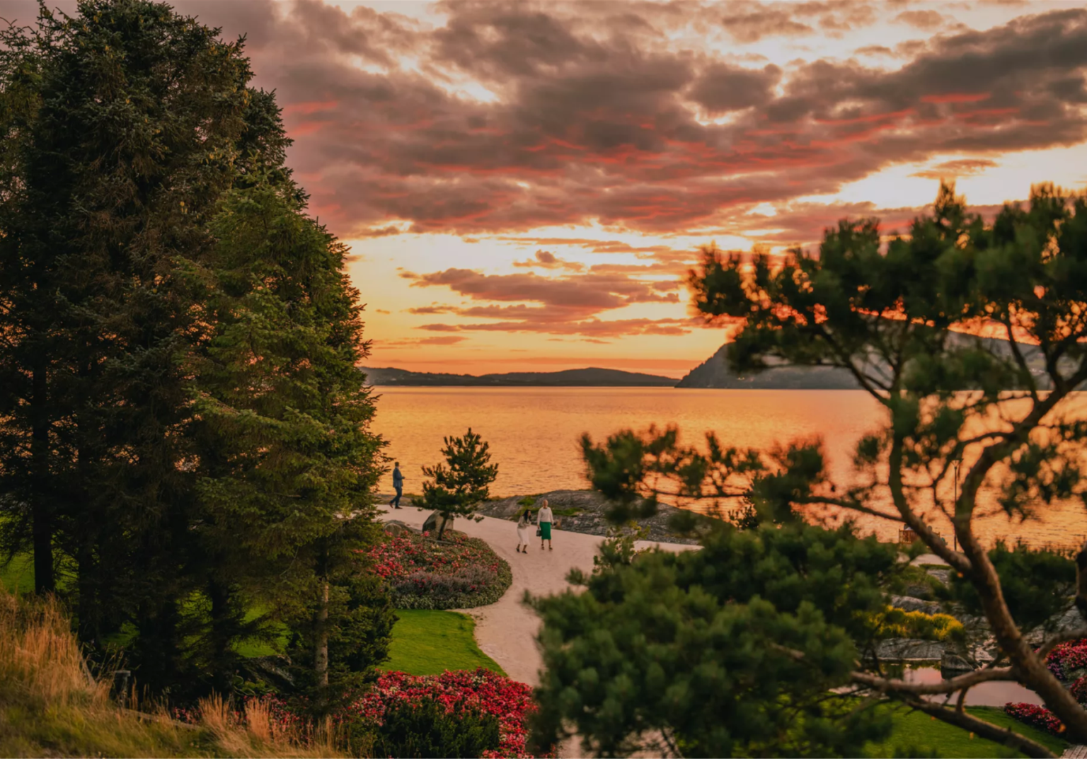 Reisearkiv - Risdal Touring