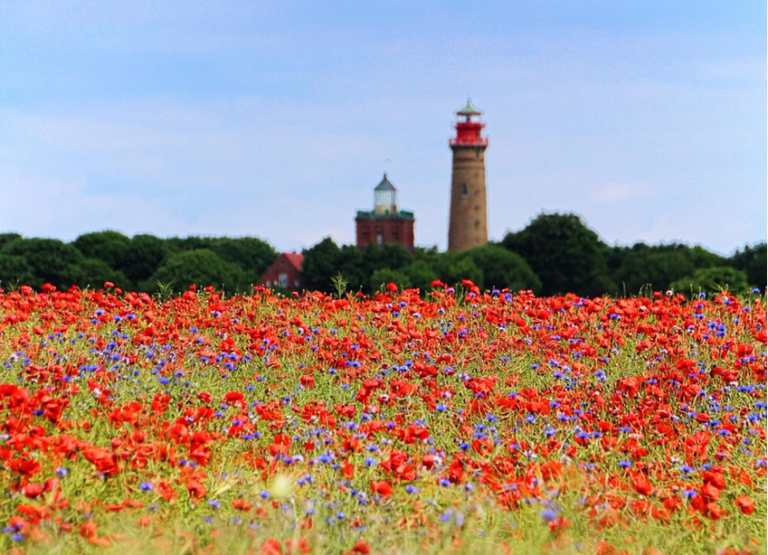 Risdal Touring | Forsommer i Nord-Tyskland - Risdal Touring